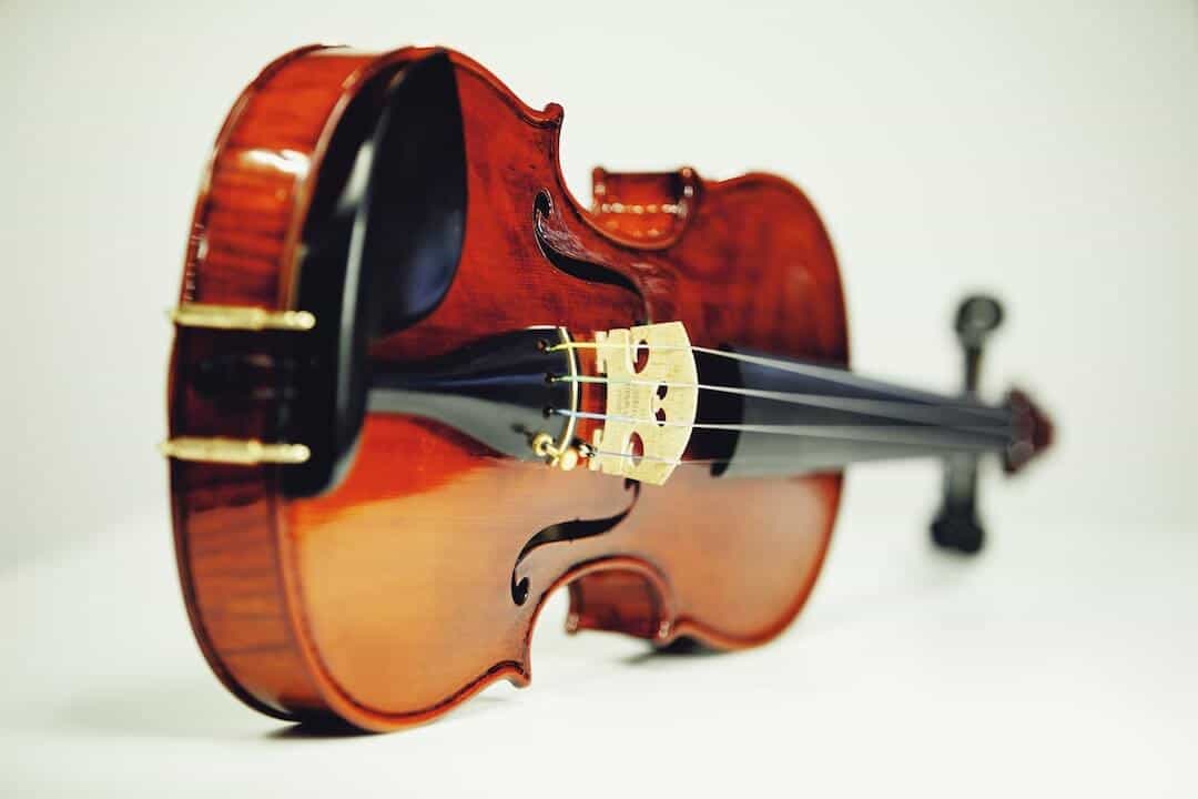 Las partes del violín y sus funciones